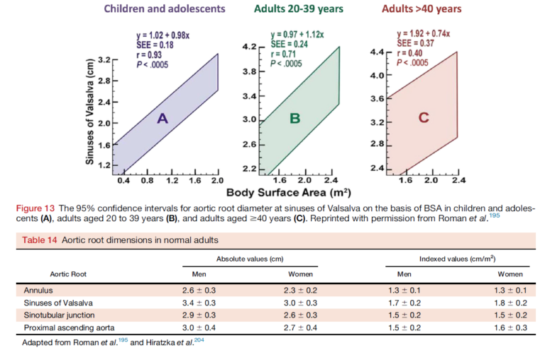 Echo Reference Values | Marc Katz MD