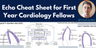 Echo Reference Values | Marc Katz MD