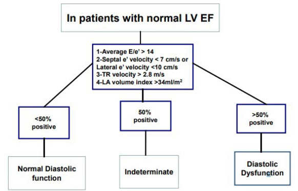 Echo Reference Values | Marc Katz MD