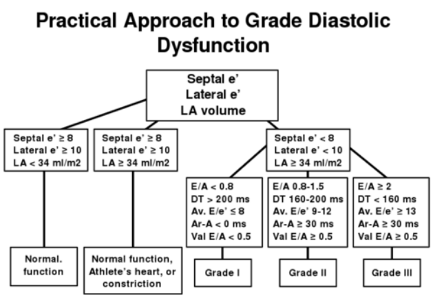 Echo Reference Values | Marc Katz MD