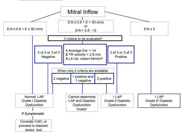 Echo Reference Values | Marc Katz MD