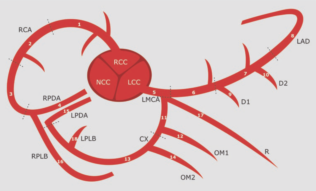 Coronary CT for Cardiology Fellows | Marc Katz MD My notes on cardiac ...